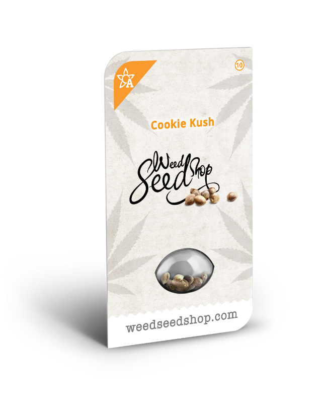 Cookie Kush XXL Automatic Seeds-WeedSeedShop